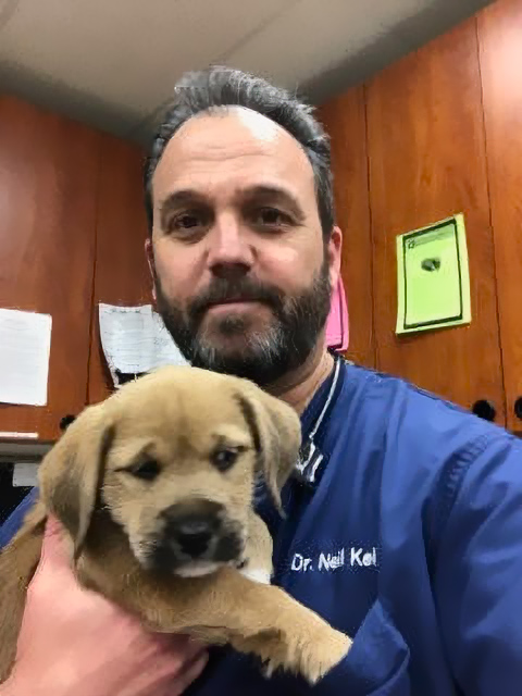 Meet Our Team Chesapeake, Virginia Beach | MyVet