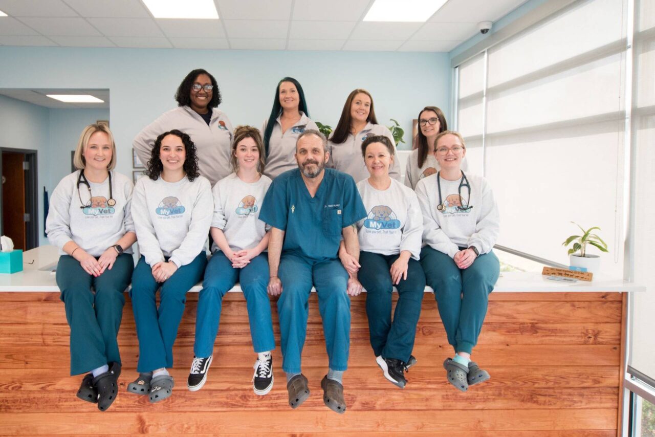 Meet Our Team Chesapeake, Virginia Beach | MyVet
